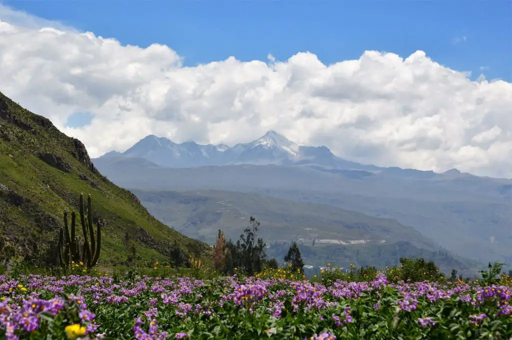 6 Must-Visit Places in Canon del Colca, Peru - Travel Ponders